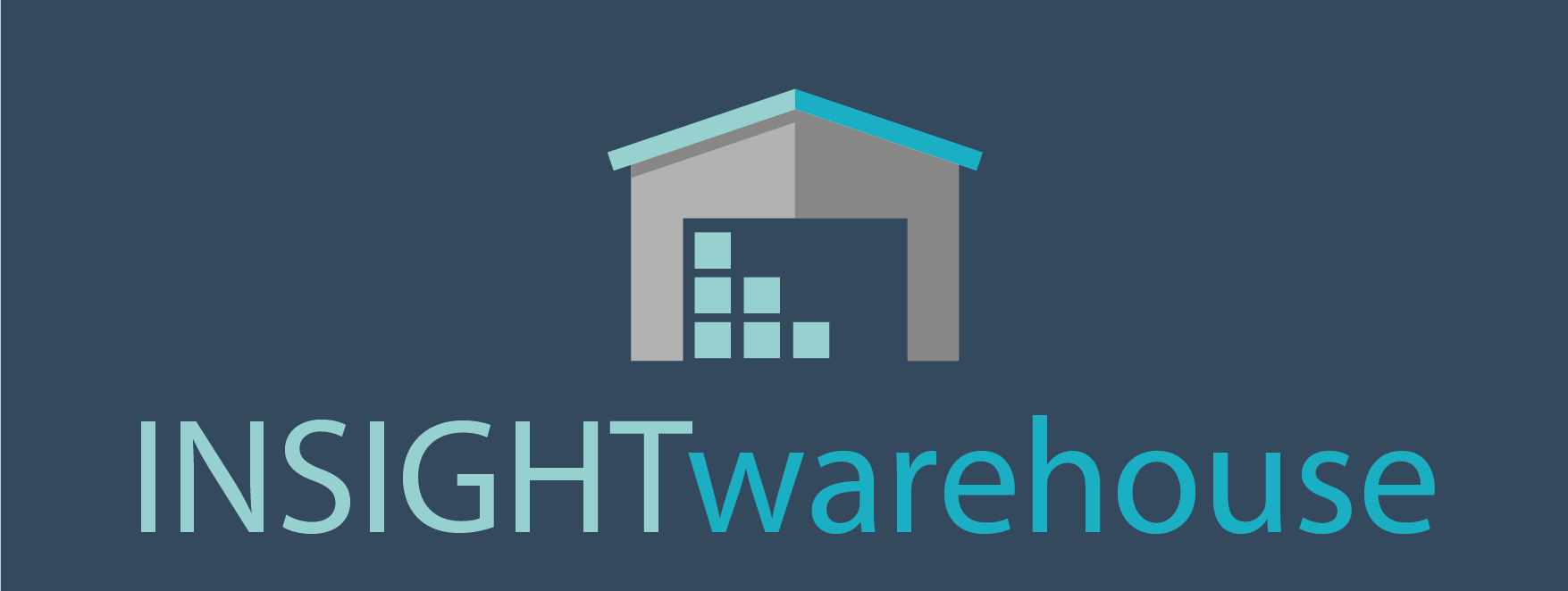 Insight Warehouse – Experts in transport data